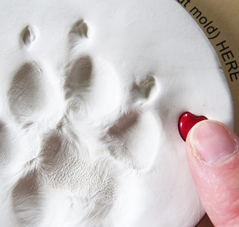 The Best Clay for Paw Prints - Veterinary Wisdom