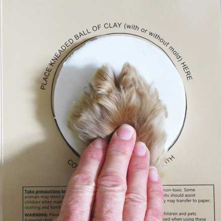 Making a Paw Print: Best Practice Series - Veterinary Wisdom