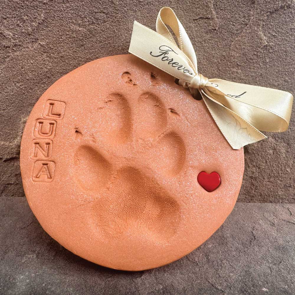 Decorating a Paw Print: Best Practices Series - Veterinary Wisdom