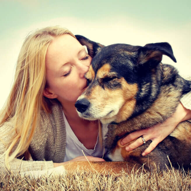 Pet Appreciation Week - Veterinary Wisdom